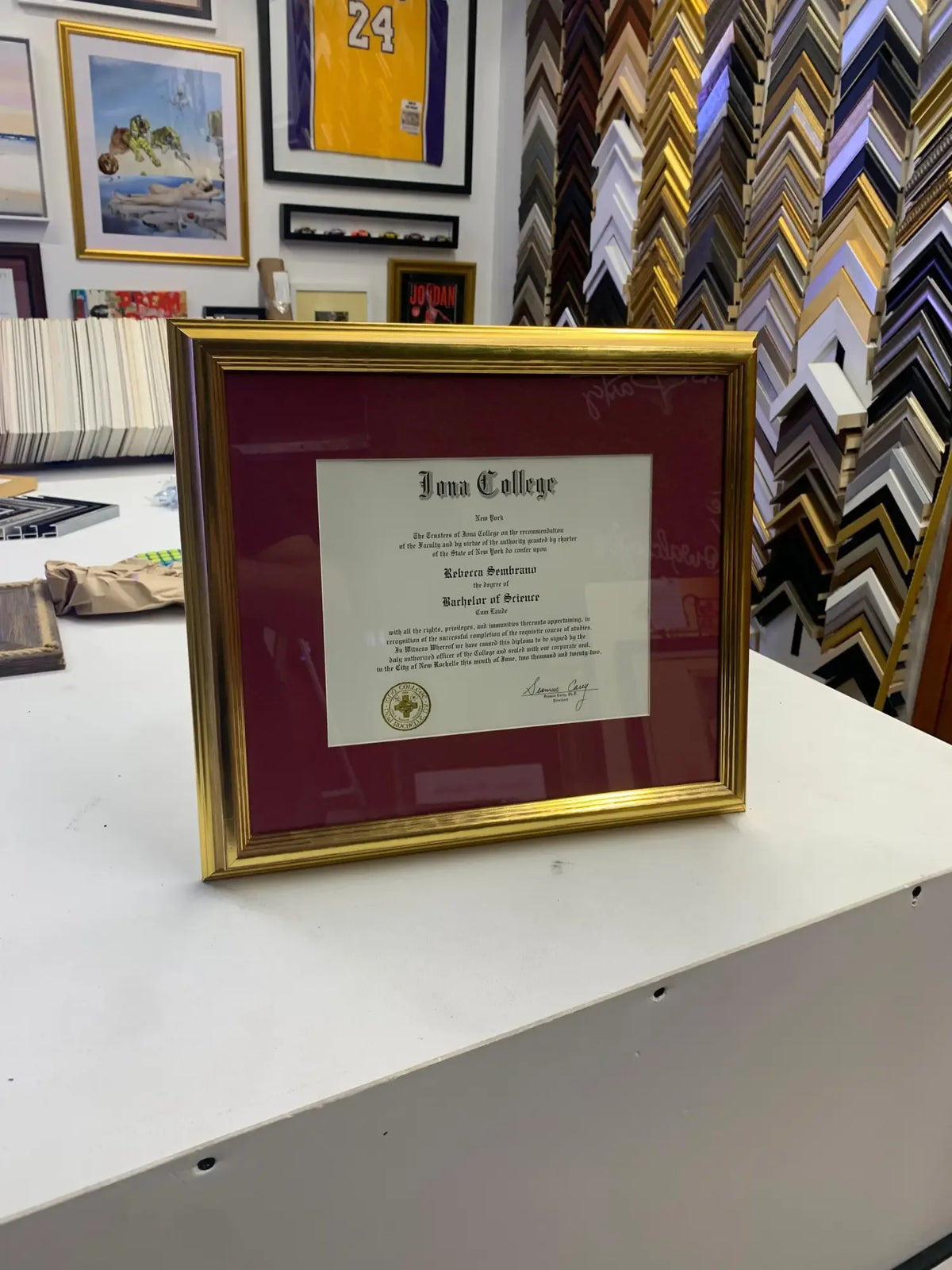 Picture framing Lawyer Certificates, Degrees, Diplomas and Honors ...