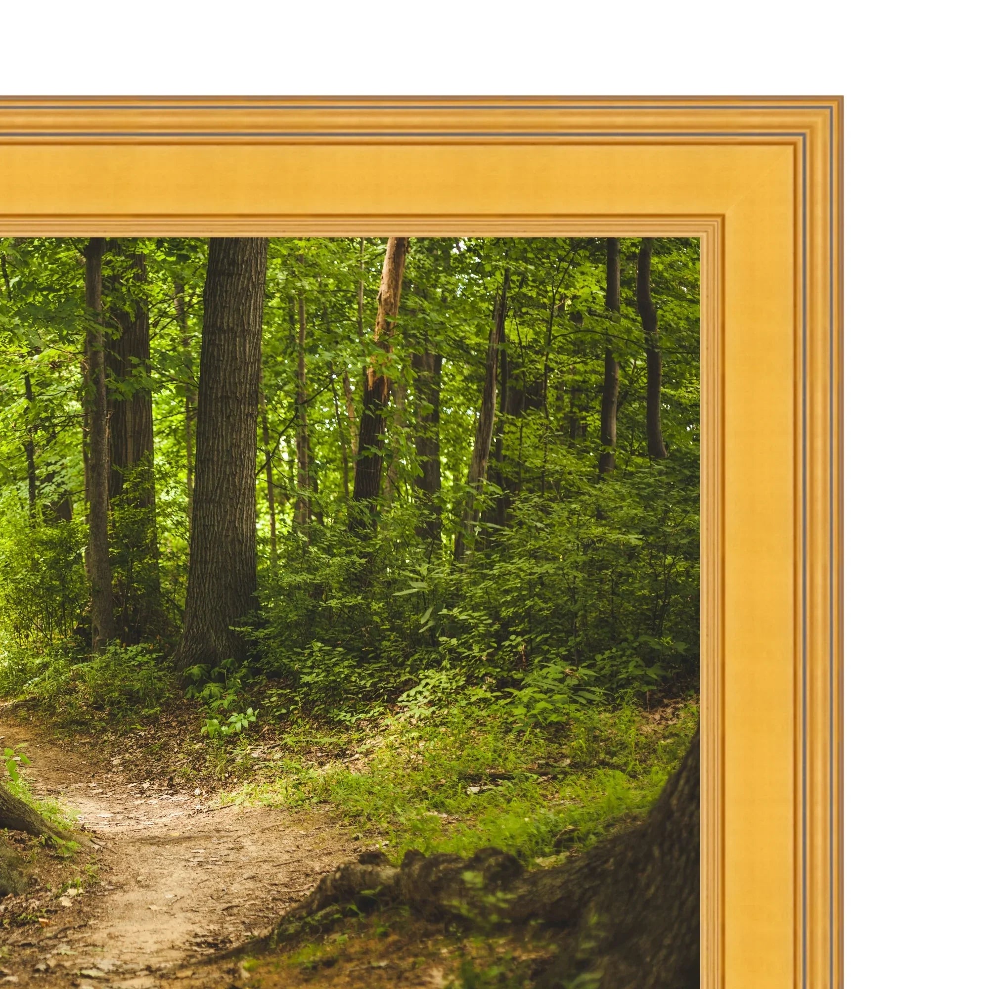 100 Inch TV Decorative Custom Picture Frame Modern & Antique