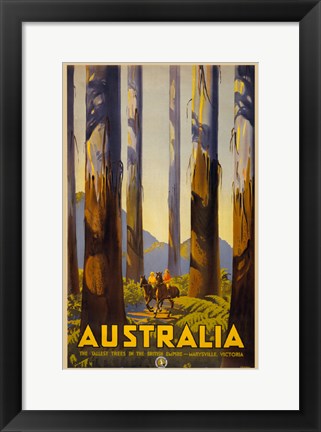 Framed Art Australia - Tallest Trees Wall Decor 18x24 Artwork
