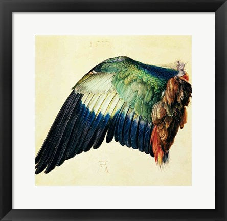 Framed Art Wing of a Blue Roller, 1512 by Albrecht Durer Wall Decor ...