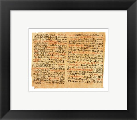 Framed Art Edwin Smith Papyrus Framed Art for your Home Wall Decor ...