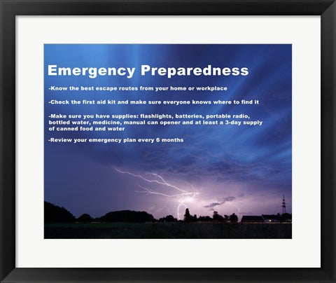 Framed Art Emergency Preparedness Framed Art for your Home Wall Decor ...