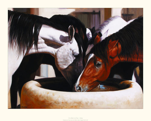 Cool Water by Peter J. Bailey | 15.7 x 19.7 Art Print