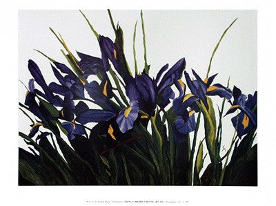 Wild Iris by Sharon Mack | 18 x 24 Art Print