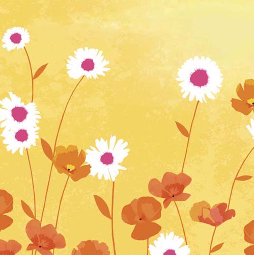 Kado I by Kate Knight | 11 3/4 x 11 3/4 Art Print