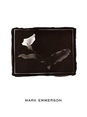 Calla Lily, Bermuda by Mark Emmerson | 12 x 9 Art Print