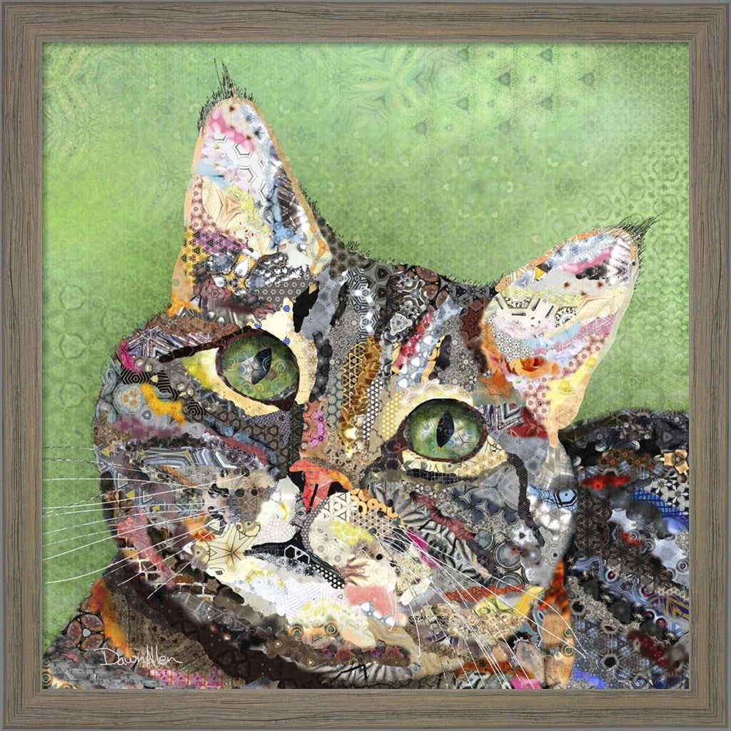 Gato by Dawn Allen, Framed Art