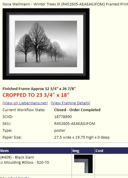 Shannon Clements - frame remake Order #FA6479041 - FramedArt.com
