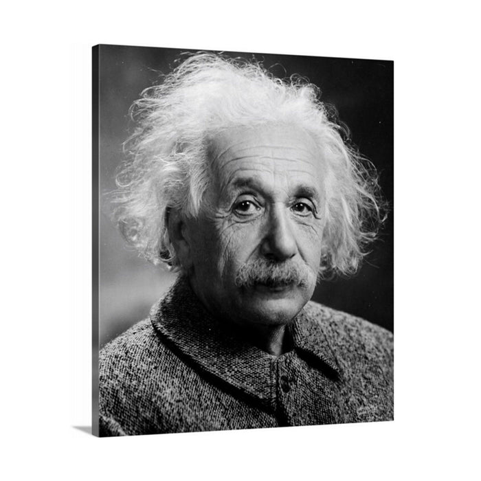Albert Einstein Albert Einstein Portrait Framed ArtHome art