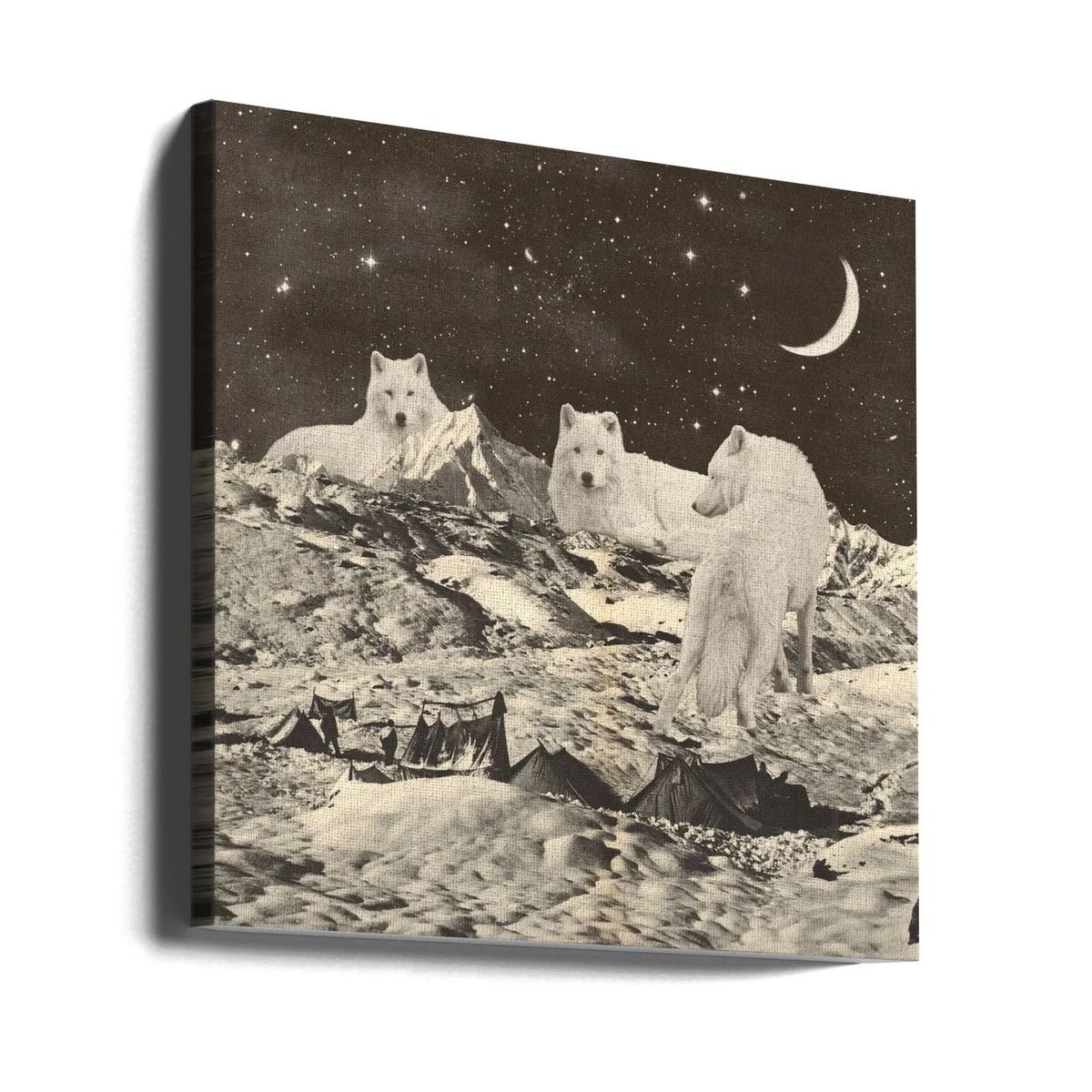 Giant White Wolves Florent BodCanvas Artwork