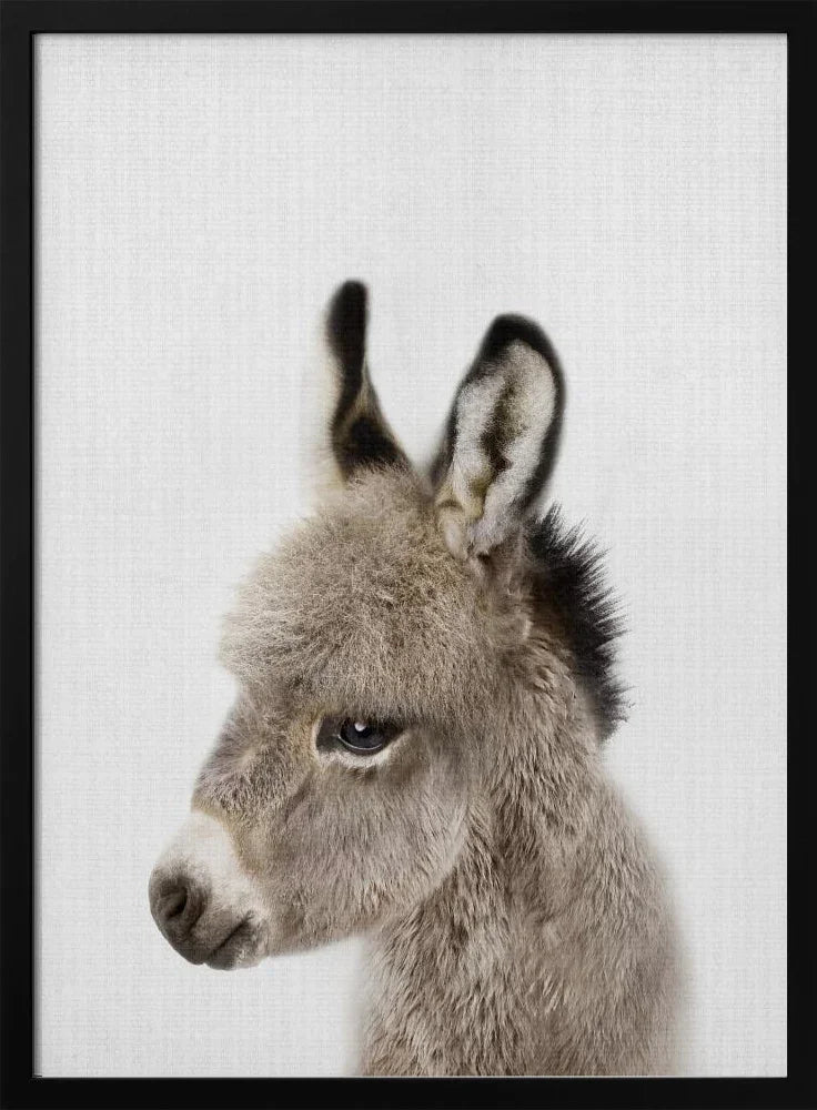 Peekaboo Baby Donkey Framed Art Lola Peacock 24x36 Frame