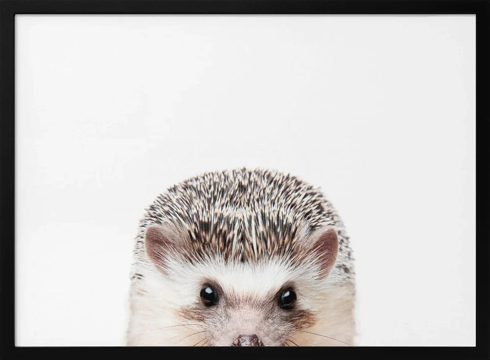 Peeking Hedgehog Framed Art Kathrin Pienaar 24x36 Frame