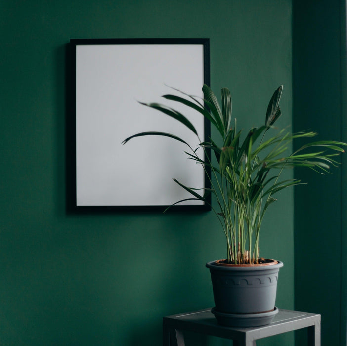 36x60 picture frame wooden wall hanging — Modern Memory Design Picture ...